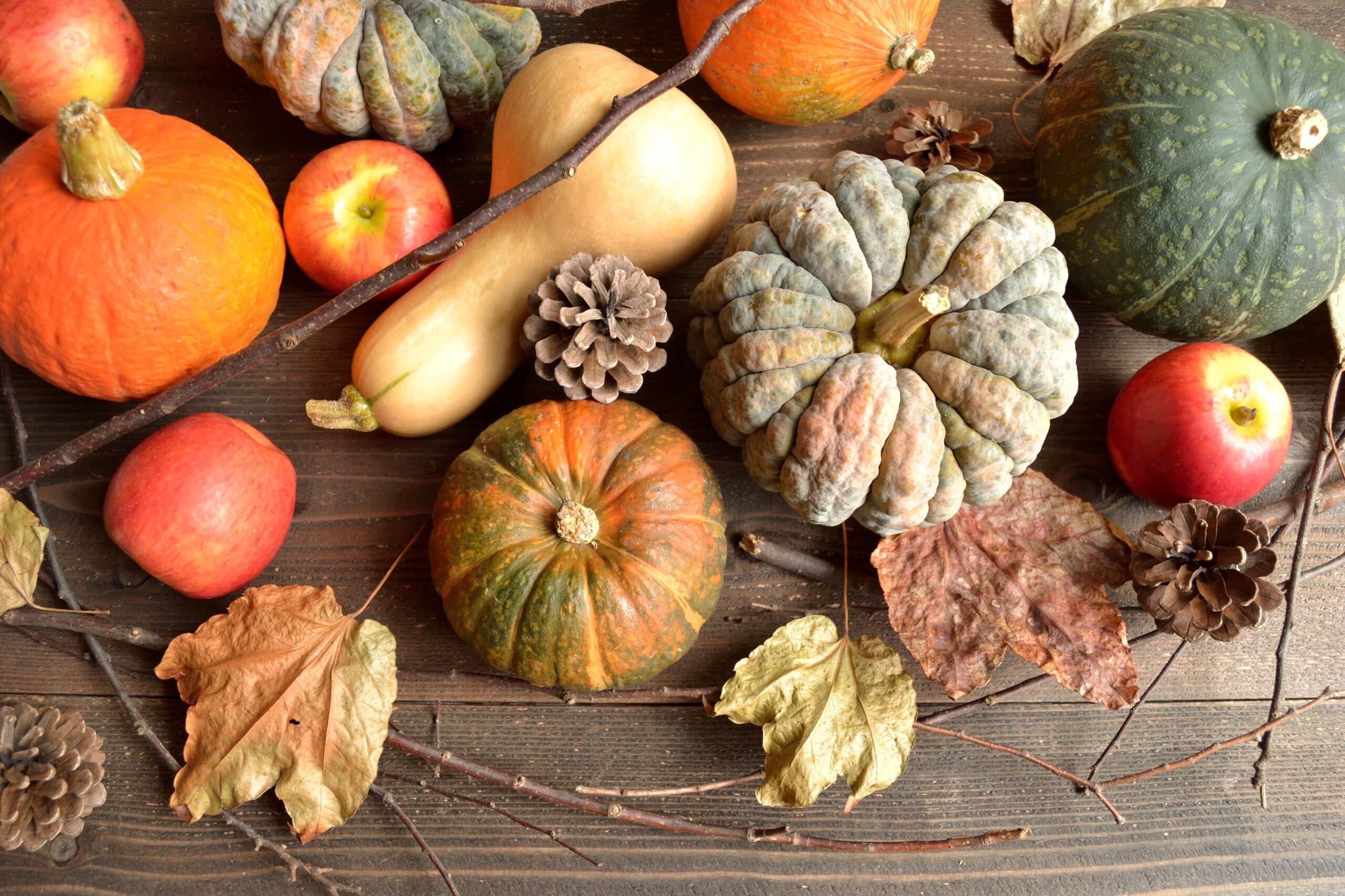 pumpkin,apple and fall leaf - Mississippi Market Co-op